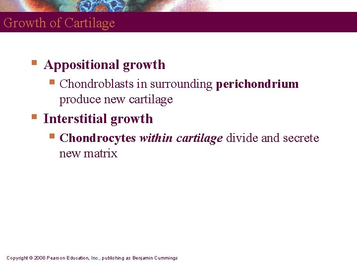 6 HUMAN ANATOMY fifth edition MARIEB MALLATT WILHELM