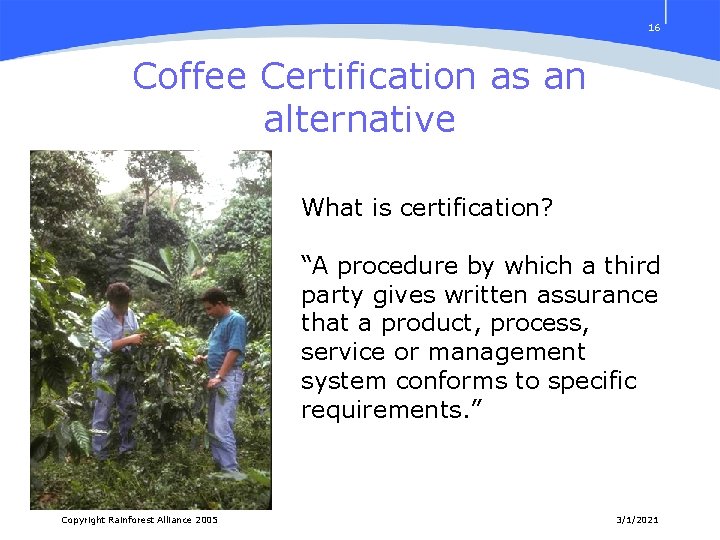 Biodiversity Conservation in Coffee the Opportunity of Sustainability