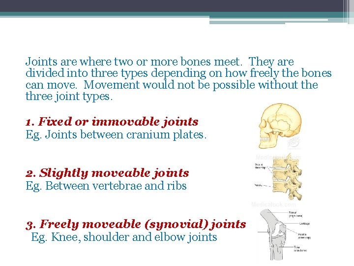 DIFFERENT KINDS OF JOINTS 5 4 Joints are