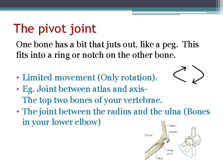 DIFFERENT KINDS OF JOINTS 5 4 Joints are