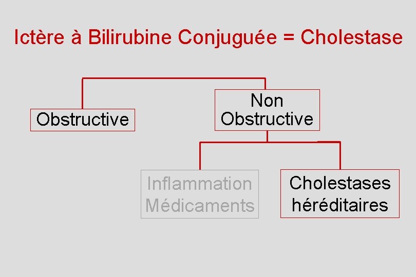 CM ICTERE PrRequis Anatomie des voies biliaires intra