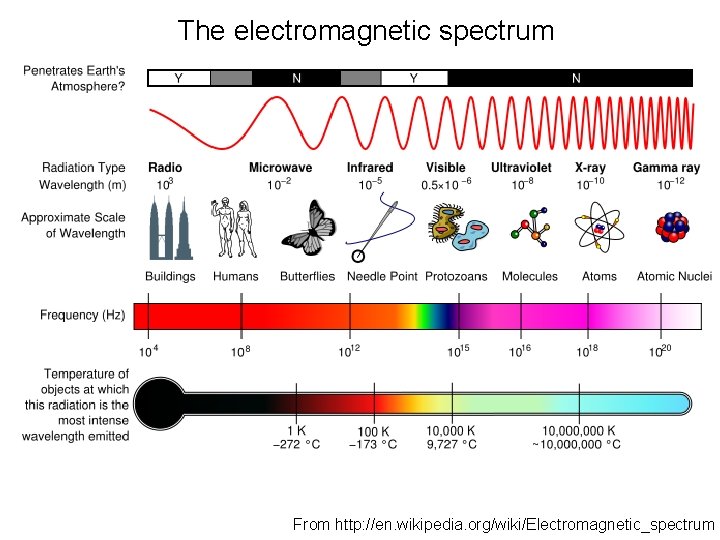 The Nobel Prize in Chemistry 1971 Gerhard Herzberg