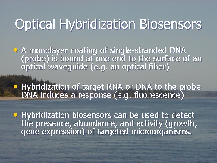 A Capillary Waveguide Biosensor for Marine Microbial Process