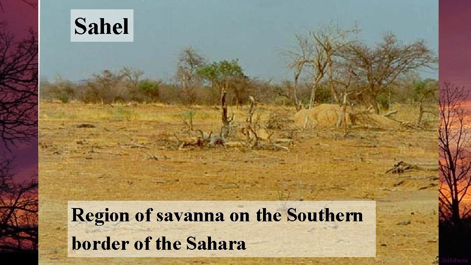 Geography 5 Words To Know Savanna grasslands a