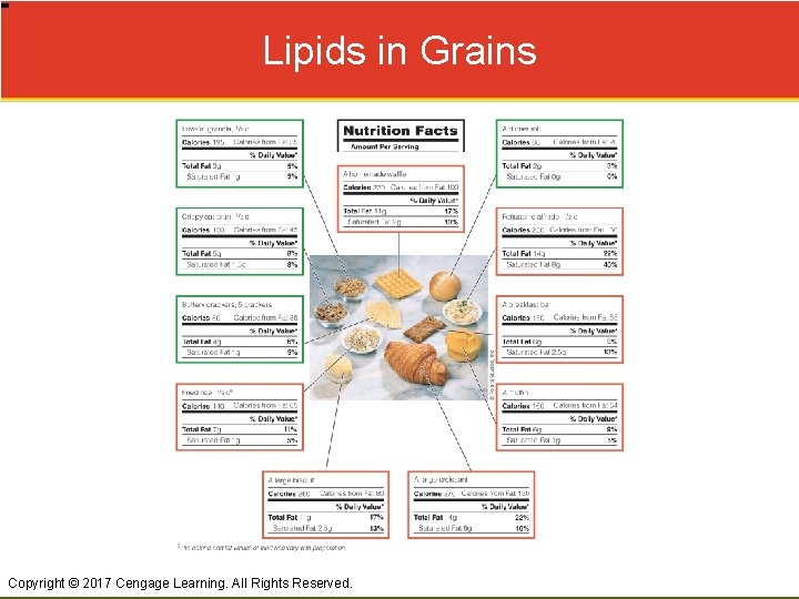 5 The Lipids Fats Oils Phospholipids and Sterols