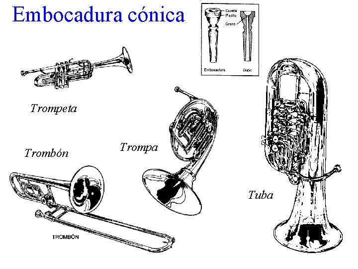 CLASIFICACIN DE INSTRUMENTOS MUSICALES AERFONOS CORDFONOS MEMBRANFONOS ...