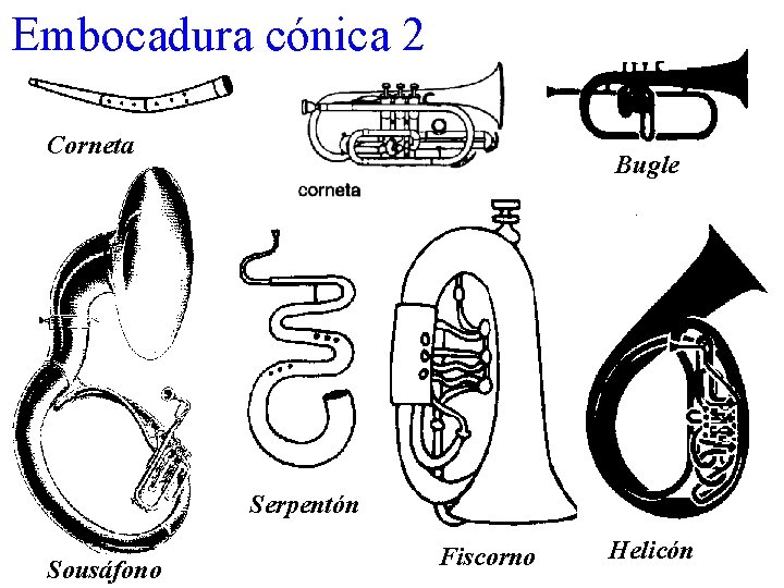 CLASIFICACIN DE INSTRUMENTOS MUSICALES AERFONOS CORDFONOS MEMBRANFONOS ...