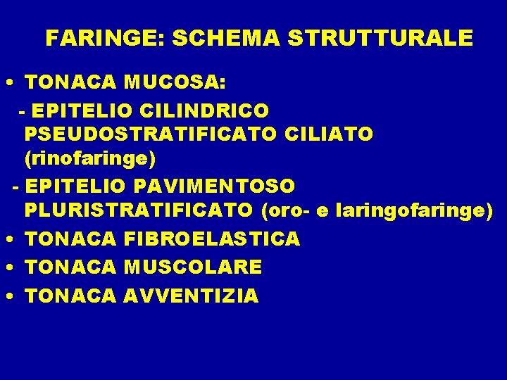 FARINGE FARINGE SCHEMATIZZAZIONE ANATOMO TOPOGRAFICA FARINGE Organo COMUNE