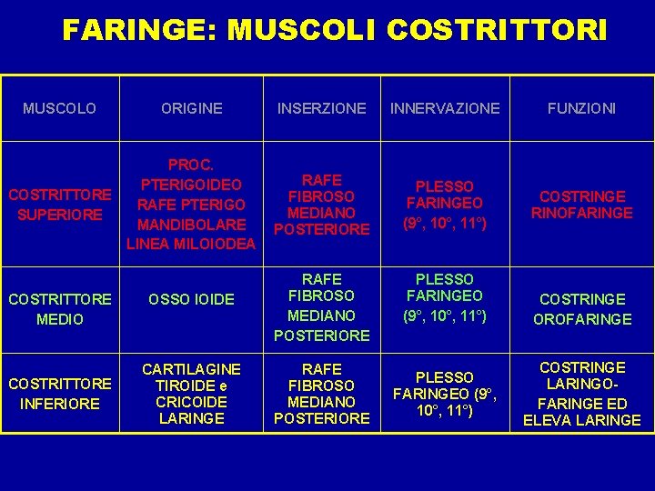 FARINGE FARINGE SCHEMATIZZAZIONE ANATOMO TOPOGRAFICA FARINGE Organo COMUNE