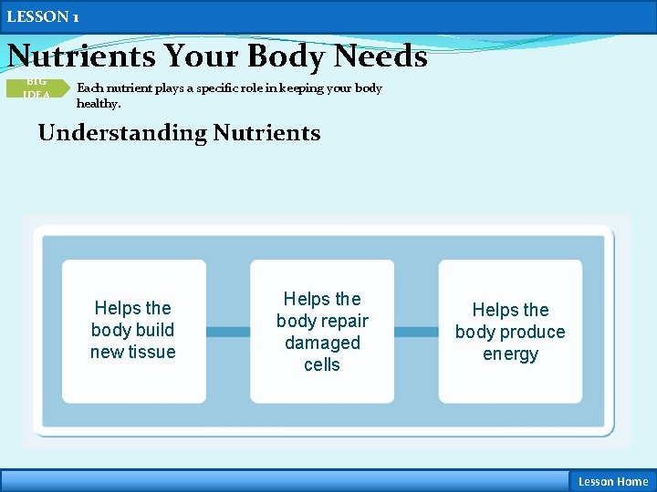 Nutrients LESSON 1 Nutrients Your Body Needs BIG