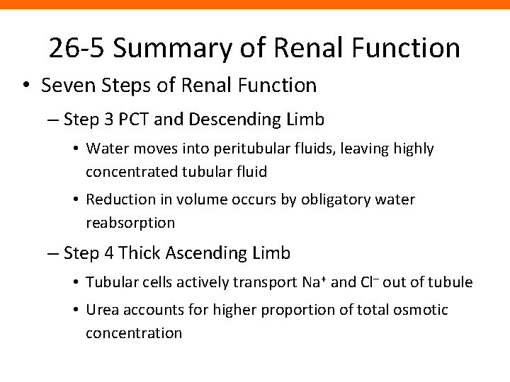 26 5 Summary of Renal Function Seven Steps