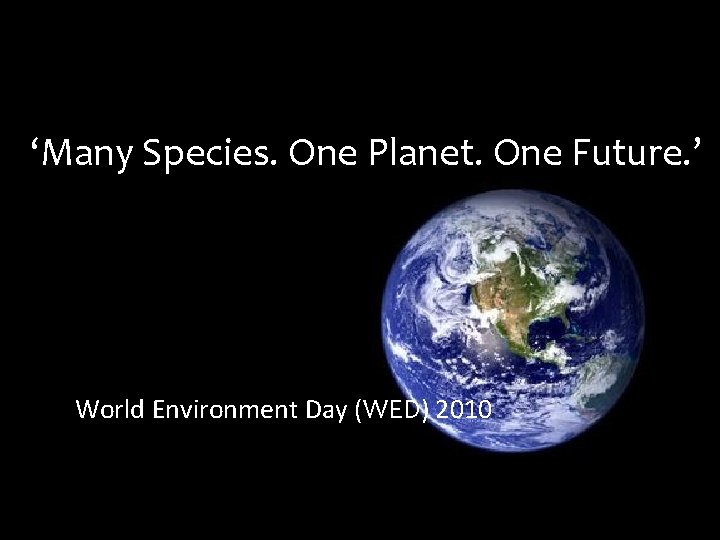 Many Species One Planet One Future World Environment