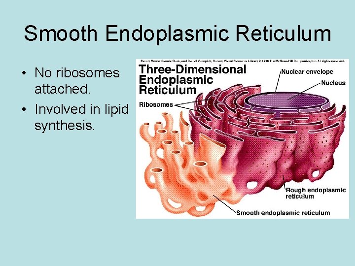 Cell Biology MCAS Review Cell Theory 1 All