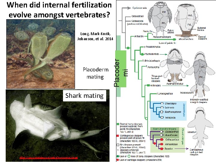 What are the major innovations in the reproductive