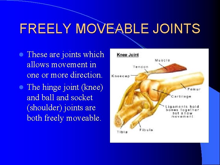 The skeletal and muscular systems Bones and muscles
