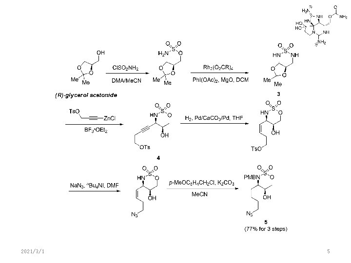 Synthesis of Saxitoxin Fleming J J Du Bois