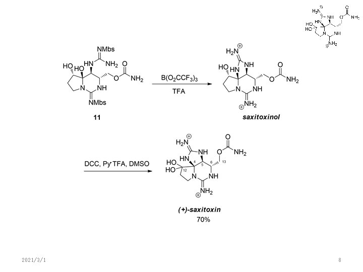Synthesis of Saxitoxin Fleming J J Du Bois