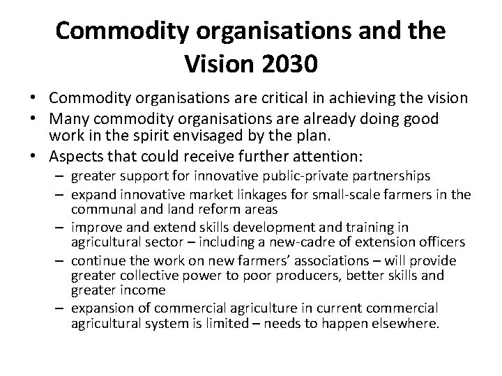 National Development Plan Vision 2030 What role will