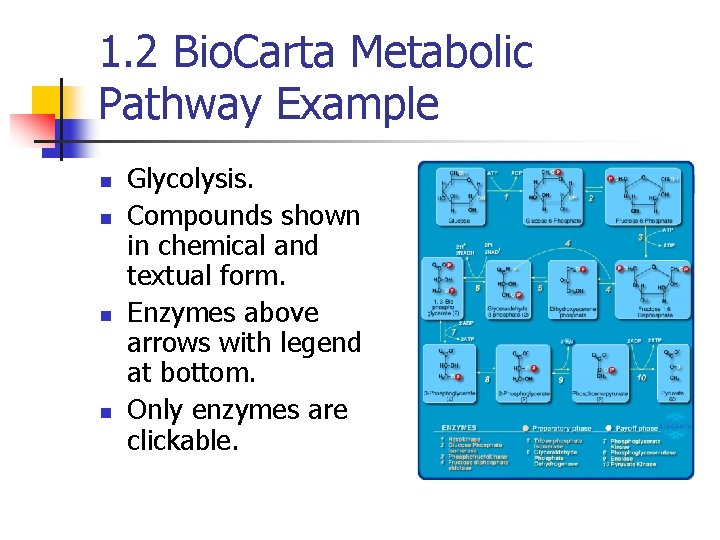 Tutorial on Current Biochemical Pathway Visualization Tools By