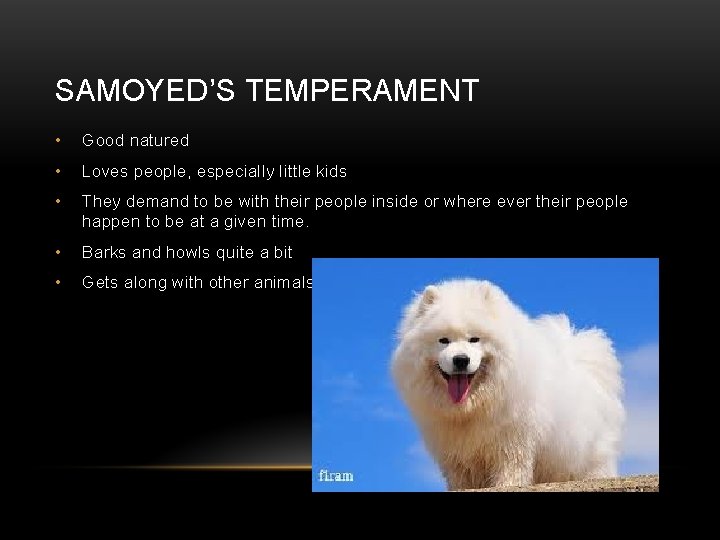 Samoyed By Colin Smith HISTORY OF THE SAMOYED