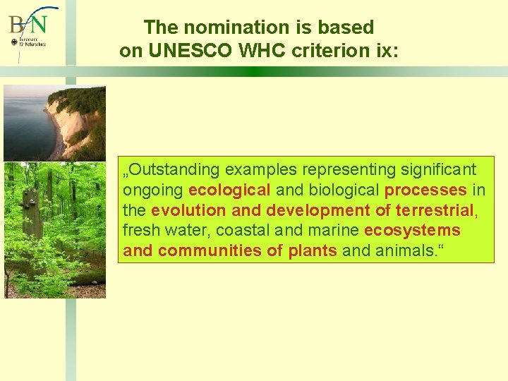 Process for a UNESCO World Natural Heritage Beech