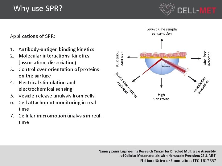 Thrust Area 2 Sensors Testbed Plasmonic and Electrochemical