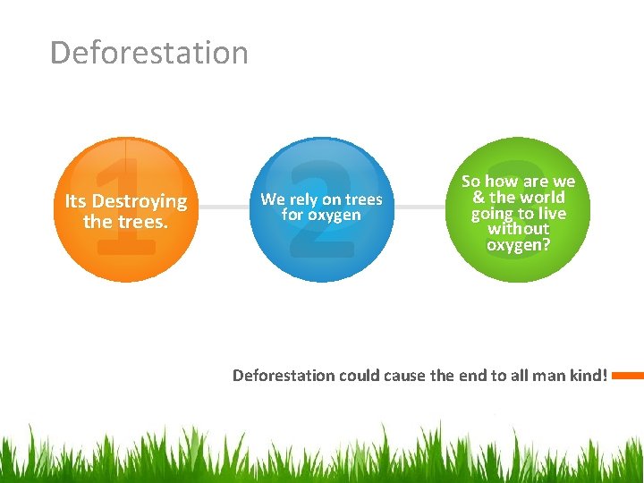 A Presentation on Deforestation how its effecting our