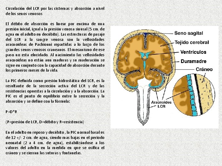 Universidad Nacional Autnoma de Mxico Facultad de Psicologa