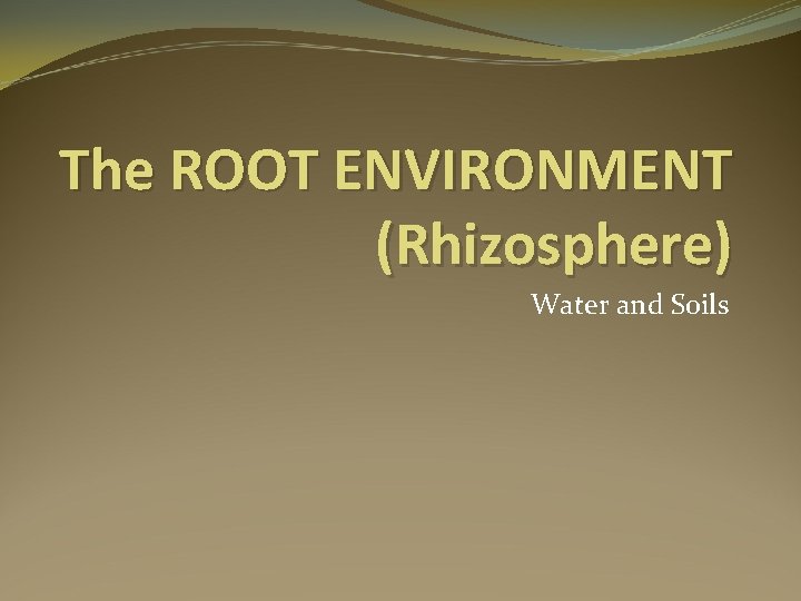 The ROOT ENVIRONMENT Rhizosphere Water and Soils WATER