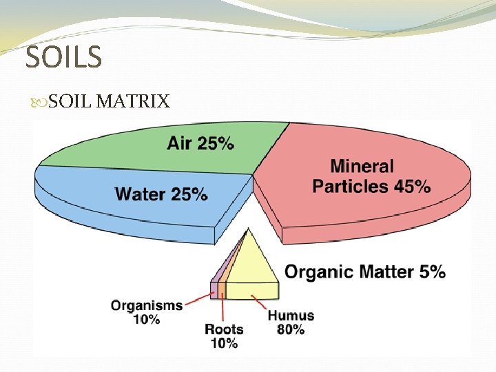 The ROOT ENVIRONMENT Rhizosphere Water and Soils WATER