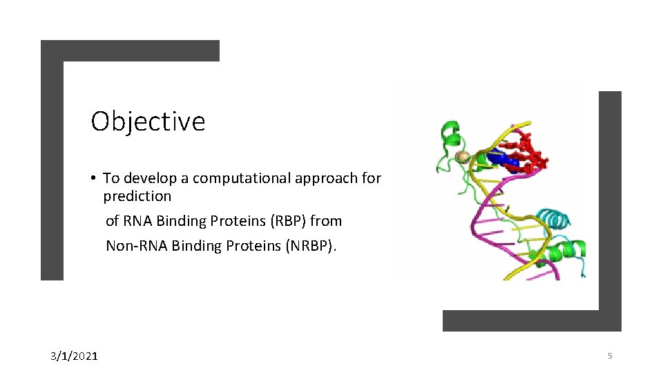 Effective Prediction of RNABinding Proteins Using Machine Learning