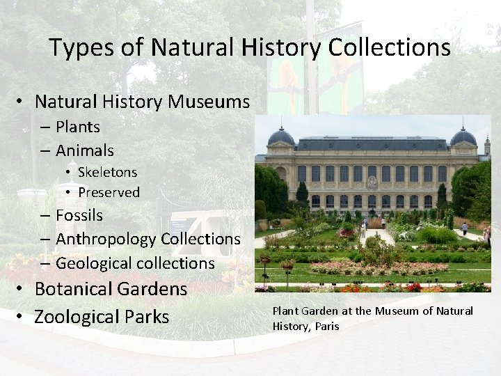 Natural History Collections Types of Natural History Collections