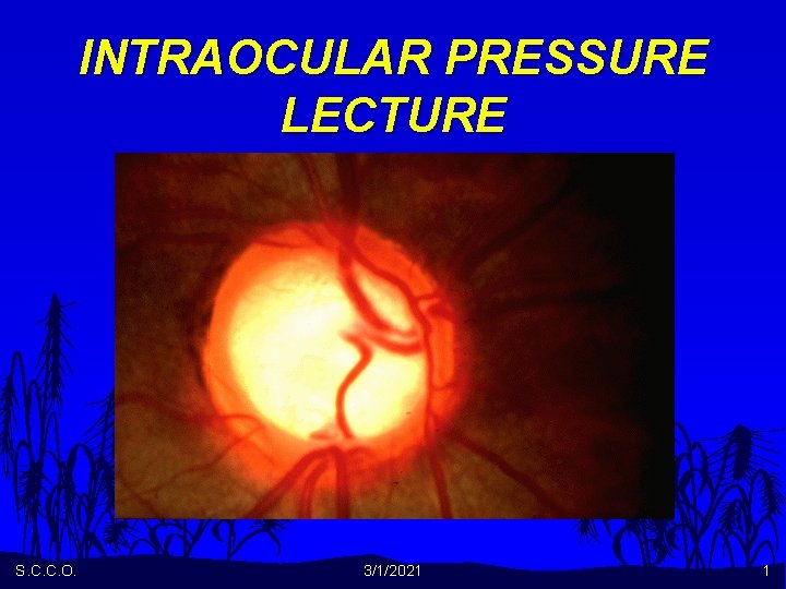 INTRAOCULAR PRESSURE LECTURE S C C O 312021