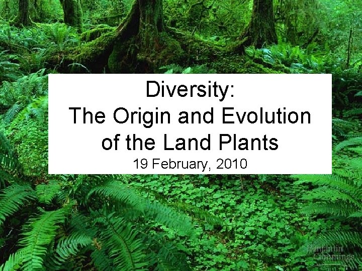 Diversity The Origin and Evolution of the Land