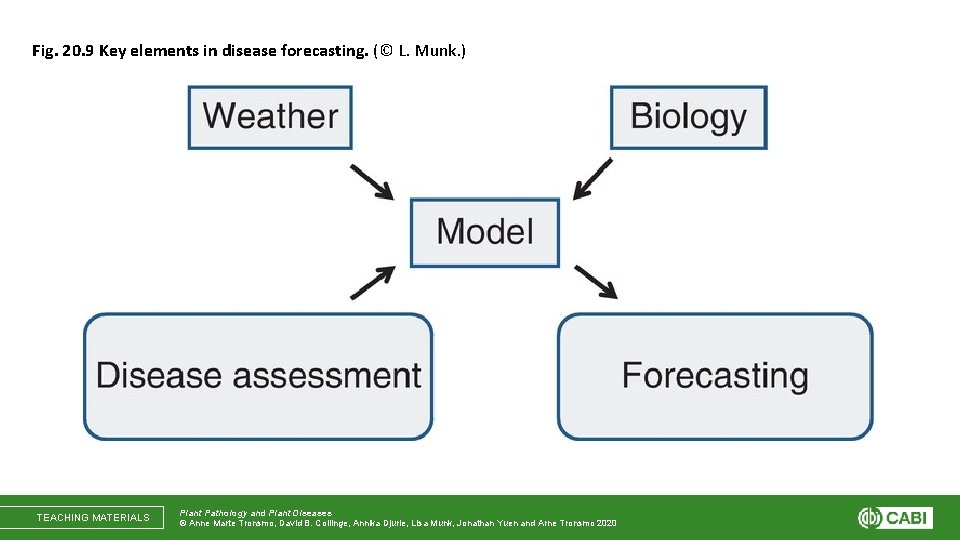 Plant Pathology and Plant Diseases Anne Marte Tronsmo