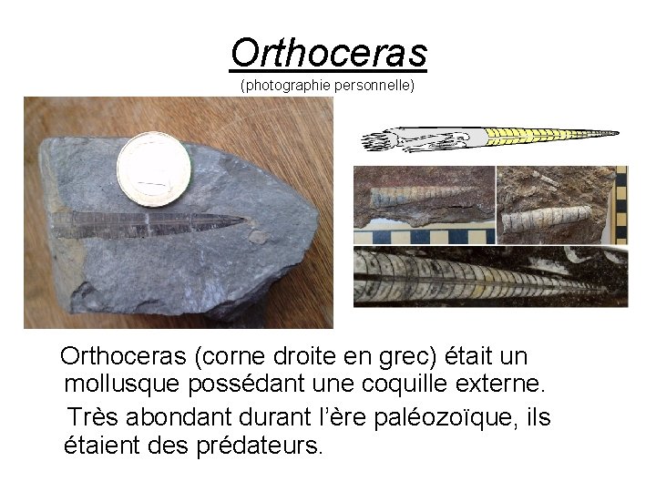 La carrire de Givet et la pierre bleue