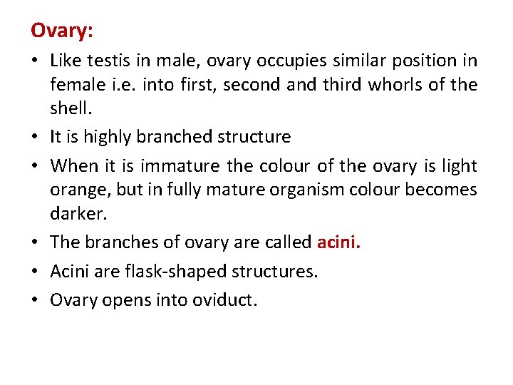 FEMALE REPORODUCTIVE SYSTEM OF PILA The female reproductive