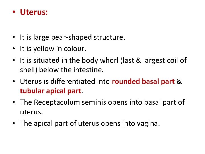 FEMALE REPORODUCTIVE SYSTEM OF PILA The female reproductive