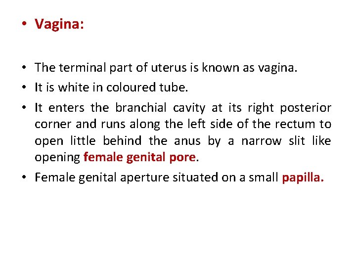 FEMALE REPORODUCTIVE SYSTEM OF PILA The female reproductive