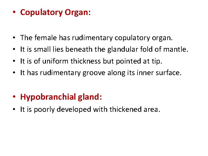 FEMALE REPORODUCTIVE SYSTEM OF PILA The female reproductive