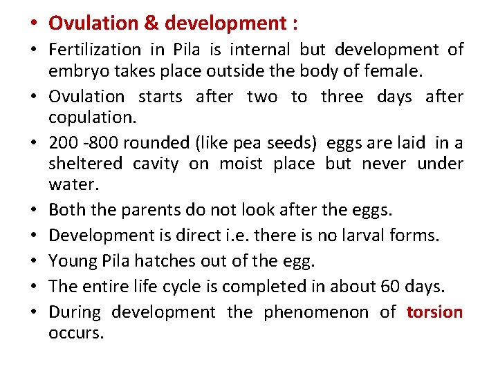 FEMALE REPORODUCTIVE SYSTEM OF PILA The female reproductive