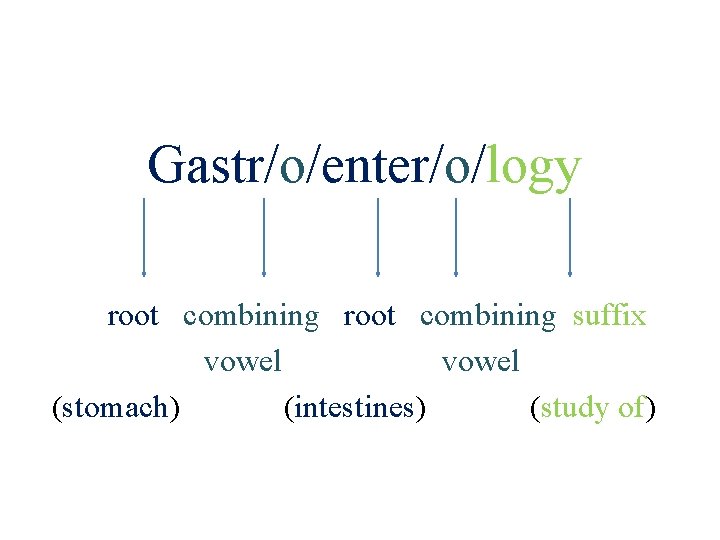 Medical Terminology Course Dr Ghassan Adnan Hasan 1