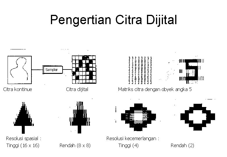 Sistem Visual Manusia Pembentukan Citra oleh Sensor Mata