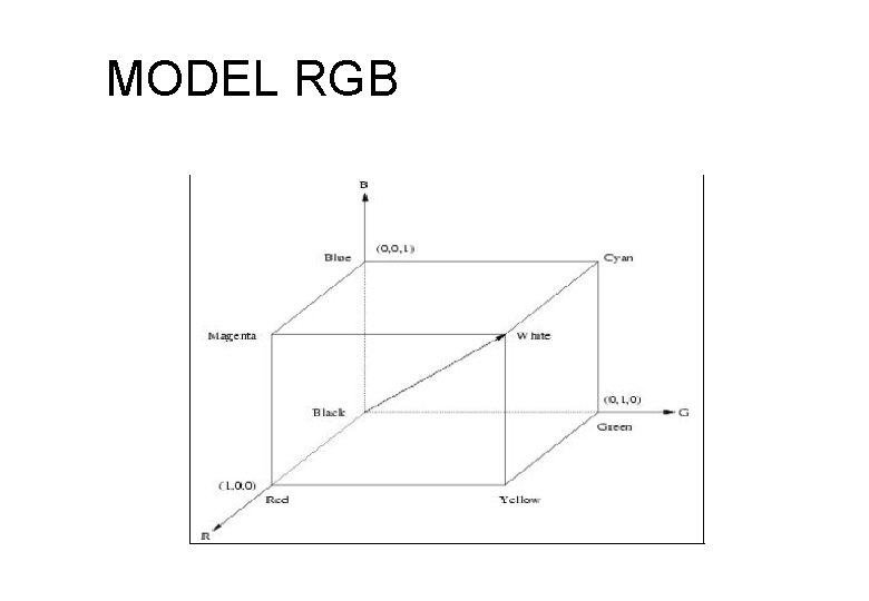 Sistem Visual Manusia Pembentukan Citra oleh Sensor Mata