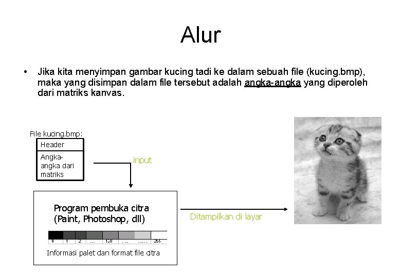 Sistem Visual Manusia Pembentukan Citra oleh Sensor Mata