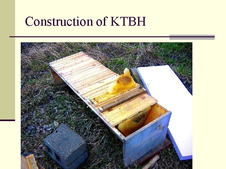 Horizontal Hives Horizontal and Top Bar Hives Copyright