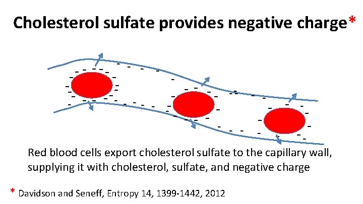 The Many Roles of Sulfate in the Body