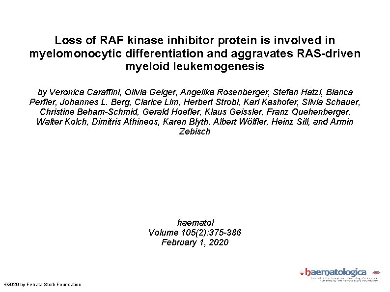 Loss of RAF kinase inhibitor protein is involved