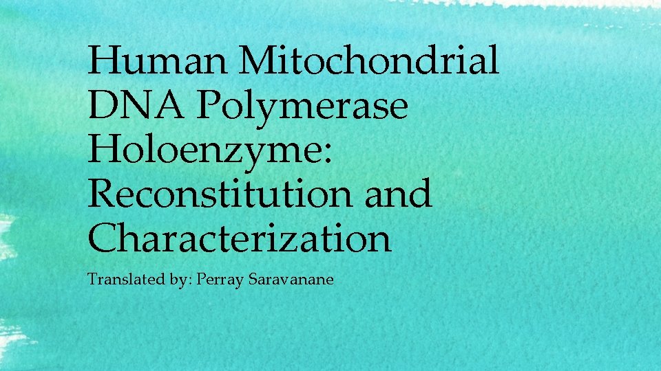Human Mitochondrial DNA Polymerase Holoenzyme Reconstitution and ...