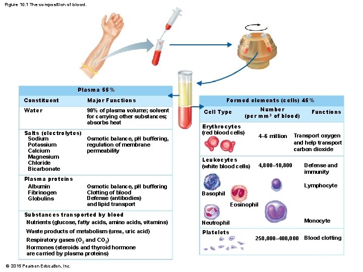 Chapter 10 Blood Lecture Presentation by Patty BostwickTaylor